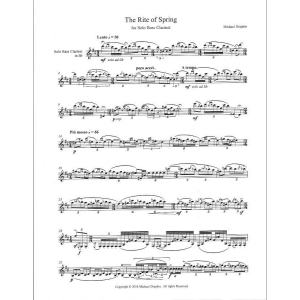 The Rite of Spring for Solo Bass Clarinet – Bassclarinet.net
